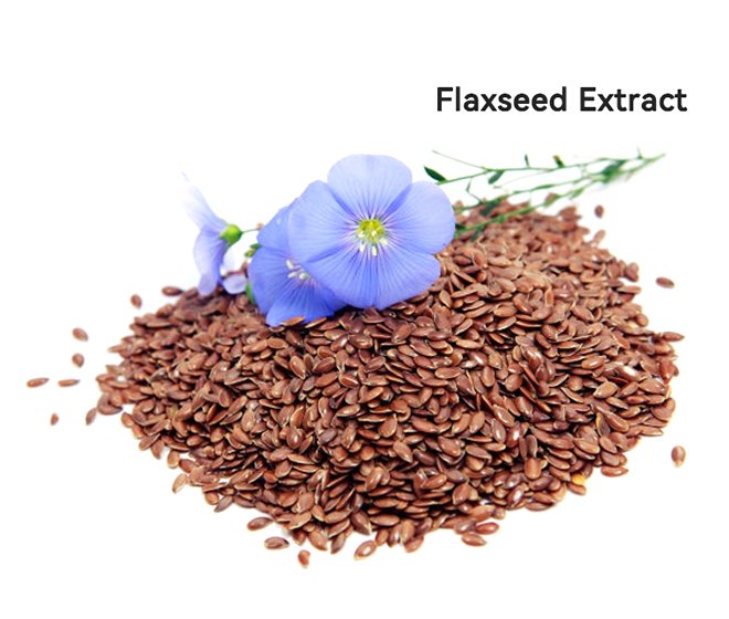 Flaxseed Extract