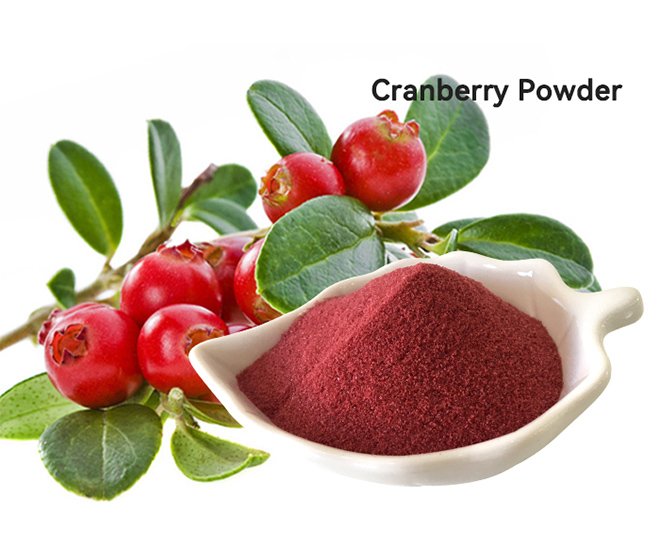 Cranberry Powder
