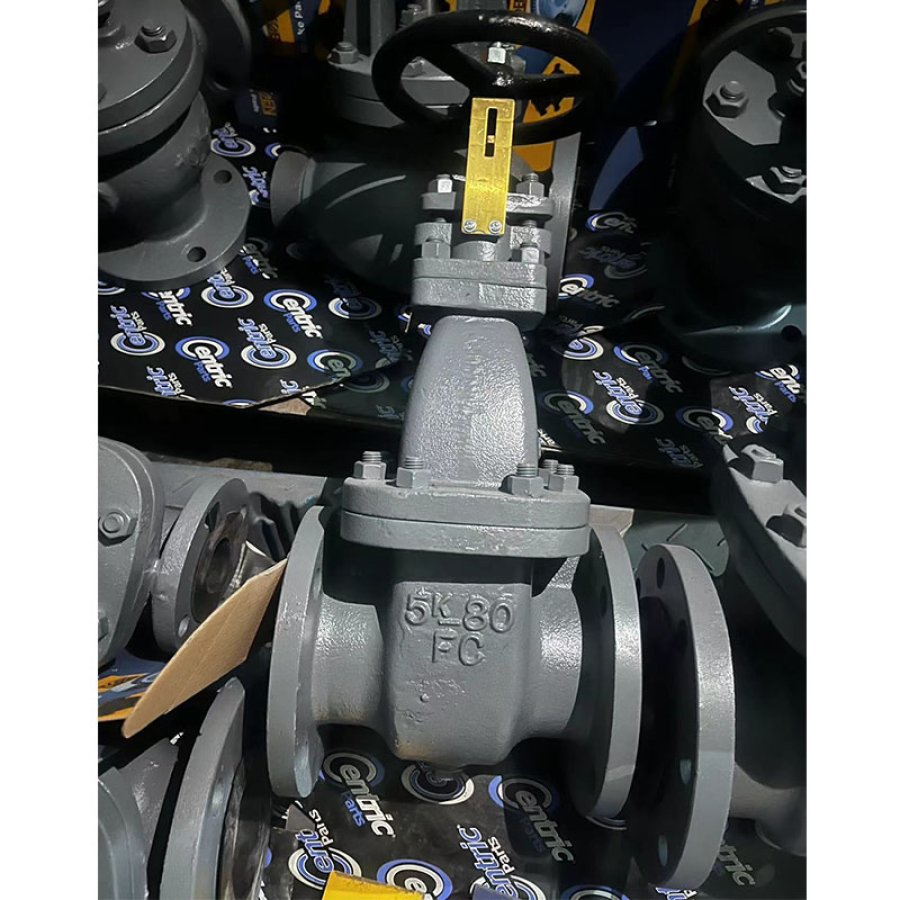 JIS F7363 5K Marine-Grade Cast Iron Gate Valve | Reliable Flow Control ...
